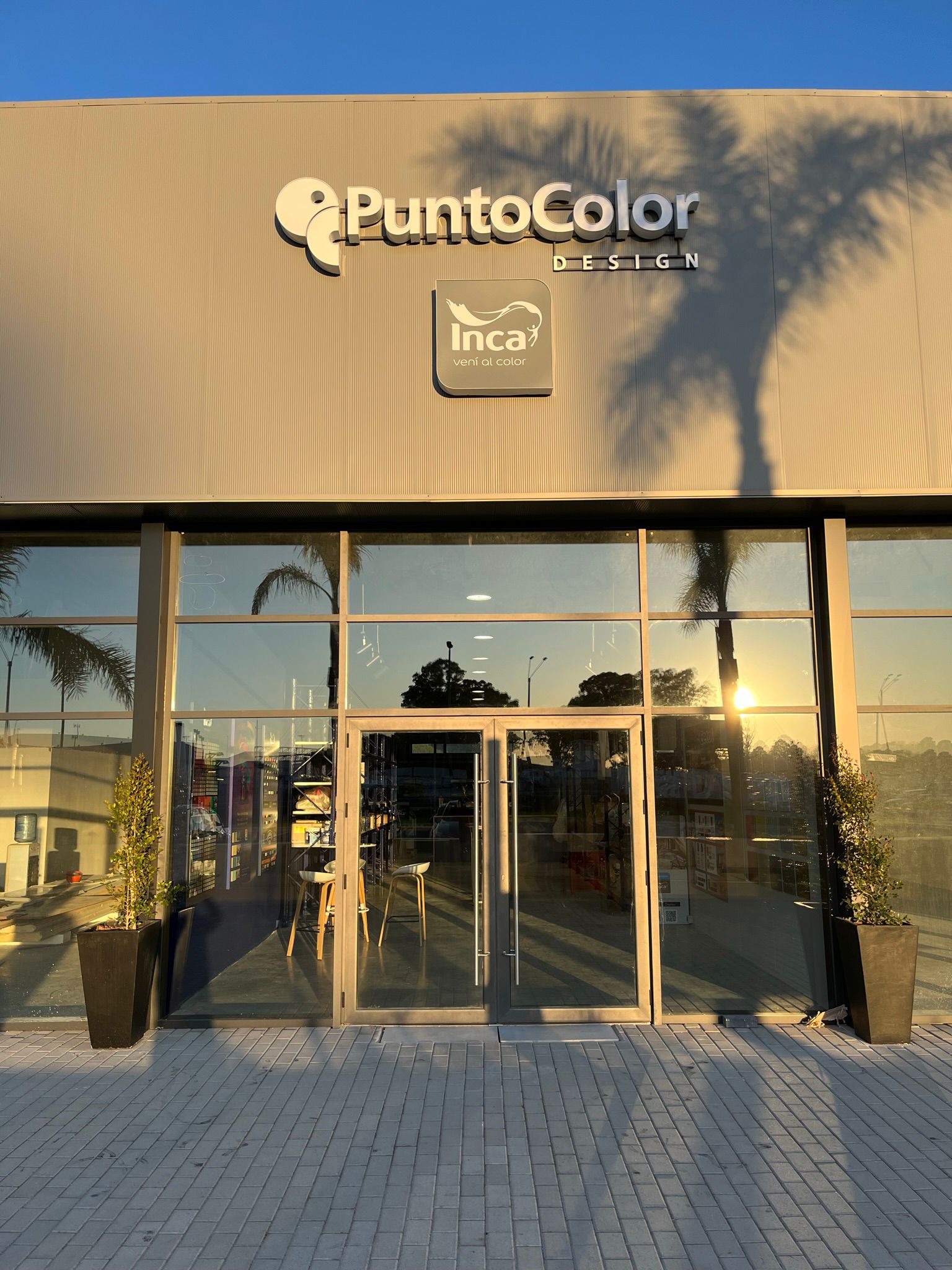 Punto Color